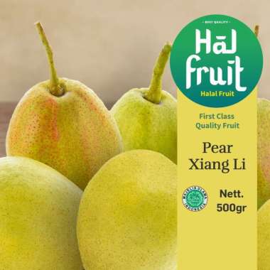 Jual Pir Xianglie Termurah - Harga Grosir Terupdate Hari Ini | Blibli
