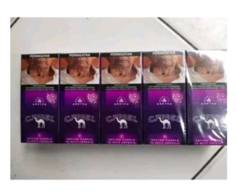 Jual Rokok Camel Purple 12 Termurah - Harga Grosir Terupdate Hari Ini ...