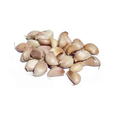 Harga Siung Terbaru Oktober 2022 |BigGo Indonesia