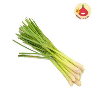 Harga Serai 1KG Terbaru Jun 2026 | BigGo Indonesia