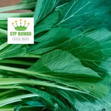 Jual Sawi Hijau 1 Kg Termurah - Harga Grosir Terupdate Hari Ini | Blibli