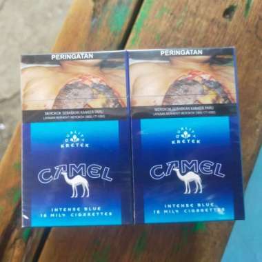 Jual Camel Blue Intense Termurah - Harga Grosir Terupdate Hari Ini | Blibli