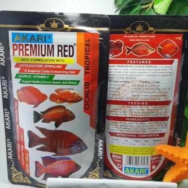 Jual Ikan Channa Yang Warna Merah Tapi Harganya Mahal Original Murah ...