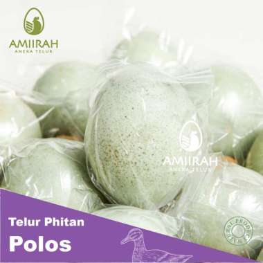 Jual Telur Bebek 1 Peti 💯 Harga Murah & Kualitas Terbaik Juni 2026