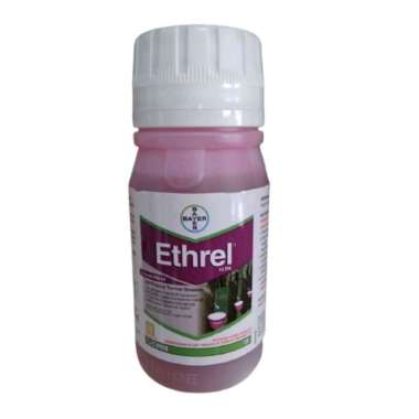 Jual Ethrel Getah Karet Original Murah - Harga Diskon Desember 2022 ...