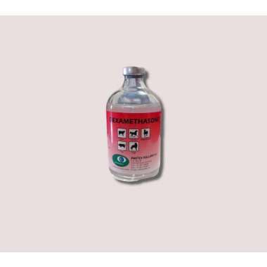 Dexamethasone Injeksi Lengkap Harga Terbaru April 2024 | Blibli