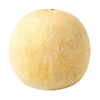 Jual Melon Sky Rocket Termurah - Harga Grosir Terupdate Hari Ini | Blibli