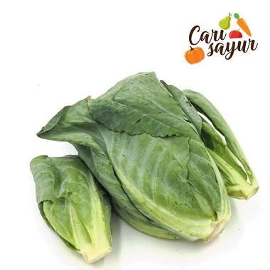 Harga Ceciwis Terbaru Juni 2023 |BigGo Indonesia