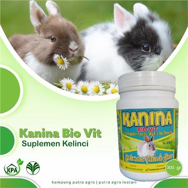 Harga Kanina Terbaru Oktober 2023 |BigGo Indonesia