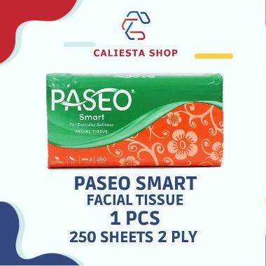 Jual Jolly By Paseo Facial Tissue Putih 250 Sheets - 2 Ply [48 Pcs/ 1 ...