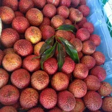 Jual Buah Leci 1 Kg Harga Agustus 2024 | Blibli