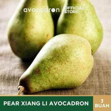AVOCADRON Official Store - Produk Original & Terlengkap | Blibli