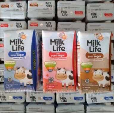 Harga Susu 200ML Terbaru Jun 2026 | BigGo Indonesia