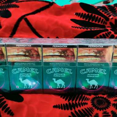Jual Camel Purple Termurah - Harga Grosir Terupdate Hari Ini | Blibli