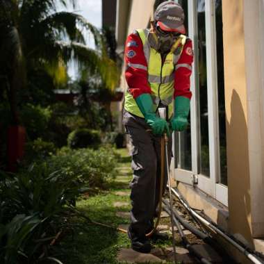 Jual Rentokil Indonesia Jasa Pengendalian Rayap Oleh Rentokil [luas ...