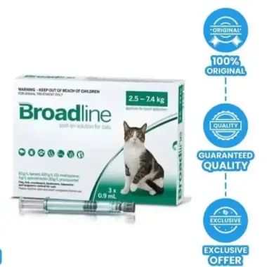 Jual Broadline Kucing Terdekat 🏷️ Harga Grosir Murah Terupdate Hari Ini ...