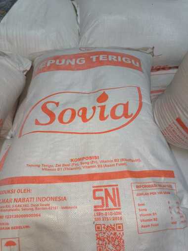 Jual Tepung Terigu Biasa 25 Kg Terbaru - Harga Promo Agustus 2023 | Blibli