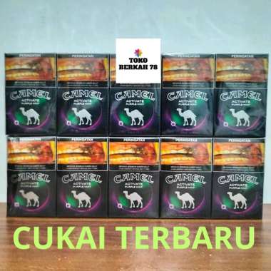Jual Camel Purple Termurah - Harga Grosir Terupdate Hari Ini | Blibli