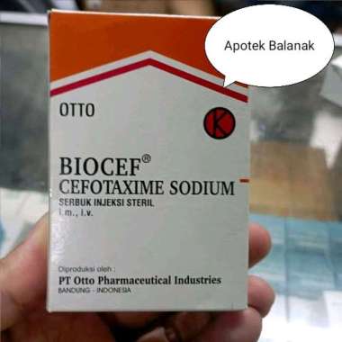Cefotaxime Injeksi Lengkap Harga Terbaru Juni 2024 | Blibli
