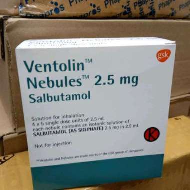 Obat Asma Ventolin Nebules Lengkap Harga Terbaru Februari 2024 | Blibli