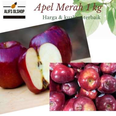 Jual Apel Merah 1 Kg Termurah - Harga Grosir Terupdate Hari Ini | Blibli