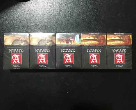 Produk Rokok Sampoerna 🔥 Harga Grosir Juni 2026