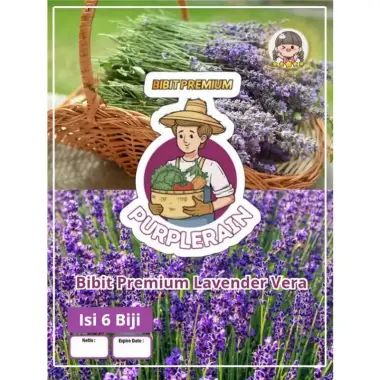 Bunga Lavender - Harga Terbaru Juni 2026