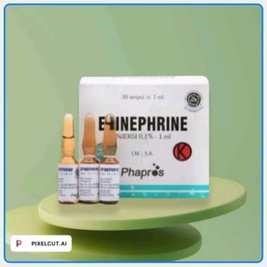 Epinephrine Lengkap Harga Terbaru April 2024 | Blibli