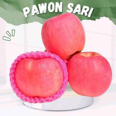 Apel Fuji 1 Kg 🔥 - Terlengkap & Harga Terbaru Juni 2026