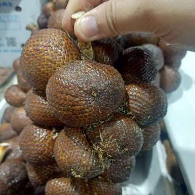 Jual Salak Gula Pasir Bali Termurah - Harga Grosir Terupdate Hari Ini ...