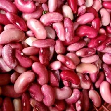 Harga Kacang Merah 1KG Organik Terbaru Mar 2026 | BigGo Indonesia