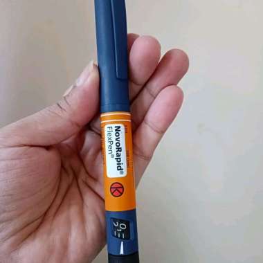 Novorapid Insulin Pen Lengkap Harga Terbaru Juli 2023 | Blibli