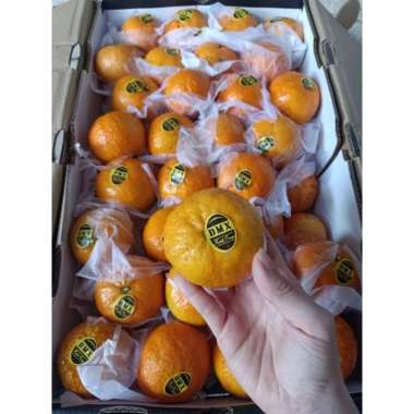 Jual Jeruk Wogan Mandarin Harga Grosir Juli 2024 - Blibli