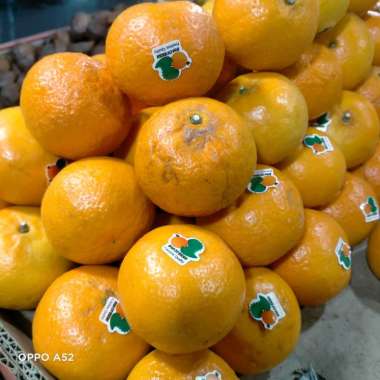 Jual Jeruk Wogan Mandarin Harga Grosir Juli 2024 - Blibli