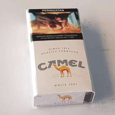 Camel Putih Slop 🔥 Harga Grosir Juni 2026