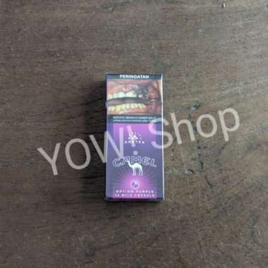 Camel Purple 12 Bungkus 🔥 Harga Grosir Juni 2026