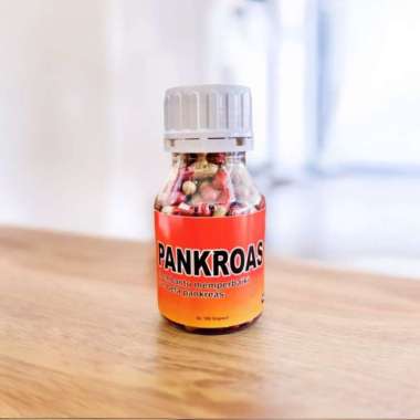 Obat Pankreas Lengkap Harga Terbaru April 2024 | Blibli