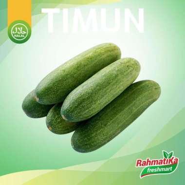 Jual Harga Timun 1 Kg Murah - Harga Grosir Januari 2024 | Blibli