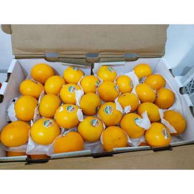 Jual Jeruk Wogan Mandarin Harga Grosir Juli 2024 - Blibli