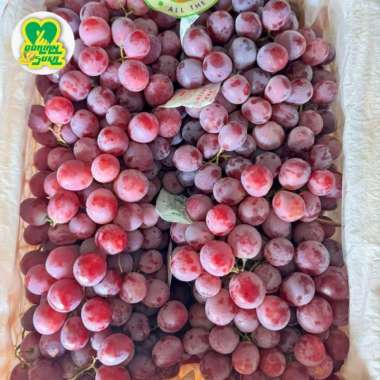 Harga buah anggur segar 1kg Terbaru Okt 2025 | BigGo Indonesia
