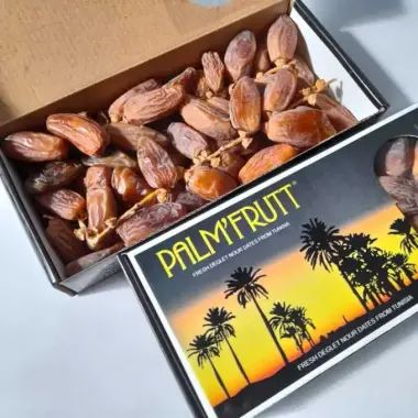 Kurma Premium 🔥 - Harga Termurah & Terbaru Juni 2026
