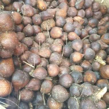 Jual Salak Gula Pasir Bali Termurah - Harga Grosir Terupdate Hari Ini ...