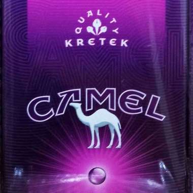 Camel Purple 12 Bungkus 🔥 Harga Grosir Juni 2026