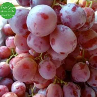 Jual Harga Buah Anggur 1 Kg Terdekat 🏷️ Harga Grosir Murah Terupdate ...