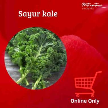 Jual Sayur Kale Harga Grosir Hari Ini Juli 2024 | Blibli
