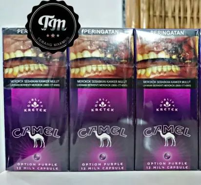 Camel Purple 12 Bungkus 🔥 Harga Grosir Juni 2026