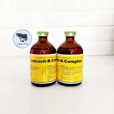 Harga Introvit-B-Complex Terbaru Juli 2024 |BigGo Indonesia