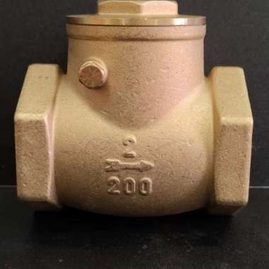 Jual Check Valve 2 Inch Original Murah - Harga Diskon Juli 2024 ...