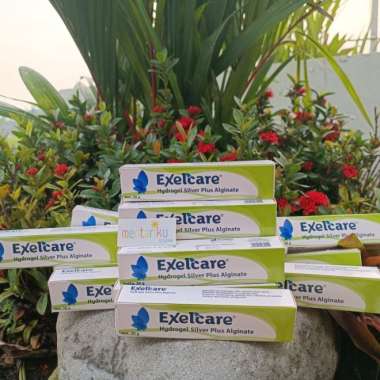 Harga Excelcare Terbaru September 2023 |BigGo Indonesia