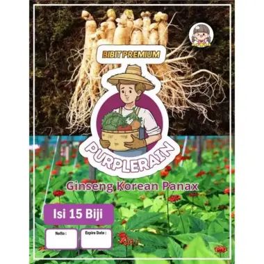 Jual Bibit Ginseng Korea 💯 Harga Murah & Kualitas Terbaik Juni 2026